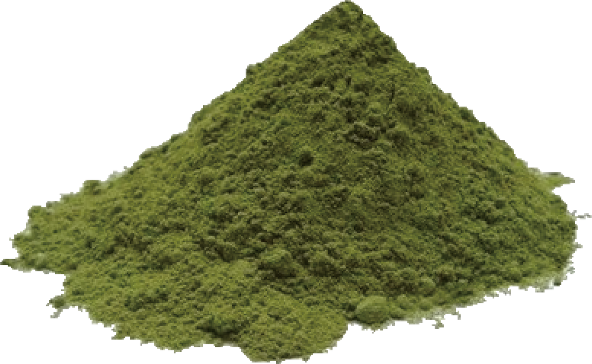 KASOORI METHI POWDER (50g, 100g, 250g, 500g) – Kobe Spice